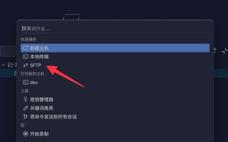 Termora Review: A Simple Look At This Powerful Terminal Tool